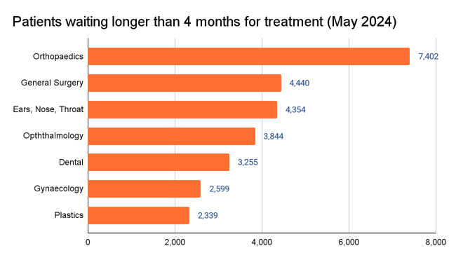 Long waiting lists and wait times in NZ's public health system
